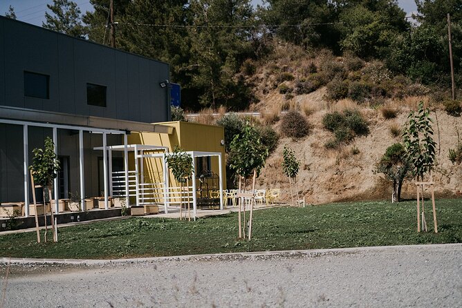 30-Minute Guided Honey Tasting Activity in Melini - Who Should Consider This Experience?