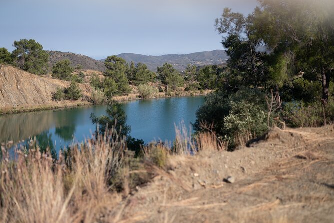 30-Minute Guided Honey Tasting Activity in Melini - Practical Tips for Visitors