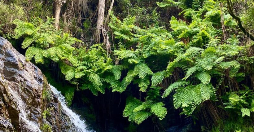 30 minutes from Porto: Waterfalls, Hiking and Picnic - A Scenic Escape Just 30 Minutes from Porto: Waterfalls, Hiking and Picnic