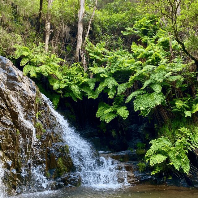 30 minutes from Porto: Waterfalls, Hiking and Picnic - What We Thought About the Tour