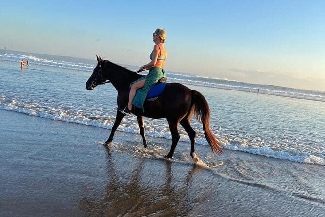30 Minutes Horse Riding Seminyak Beach - What to Expect from the Horse Riding Tour