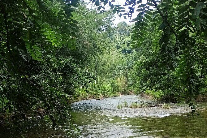 30 Minutes Khaolak ATV Quadbike & Waterfall Adventure - Practical Details and What to Expect