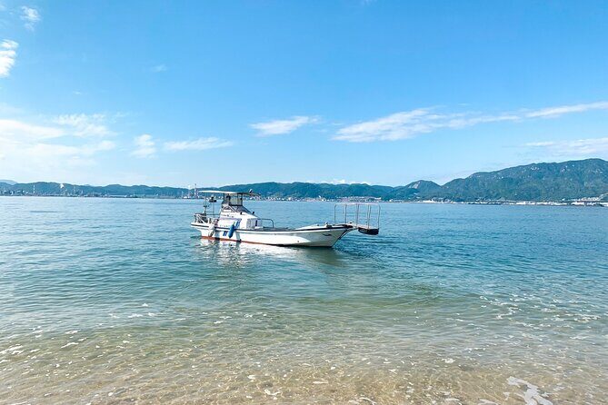 30 Minutes One Way Cruise from Miyahama Onsen to Miyajima - What Reviewers Say