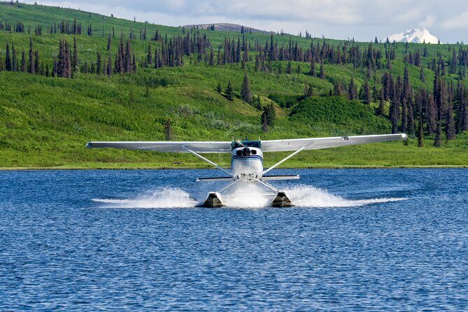30 Minutes Seaplane Ride in Talkeetna - Key Points