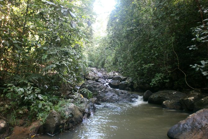 35km E bike Bike Day Tour in Galle - What to Expect from the Tour Experience