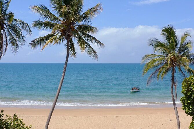 360 Boat Experience to Circumnavigate Magnetic Island - Key Points