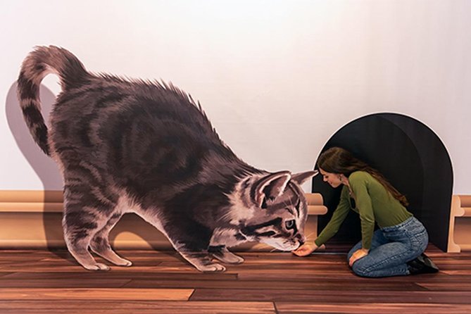 3D Fun Art Museum Funchal - Experience Highlights at the Museum