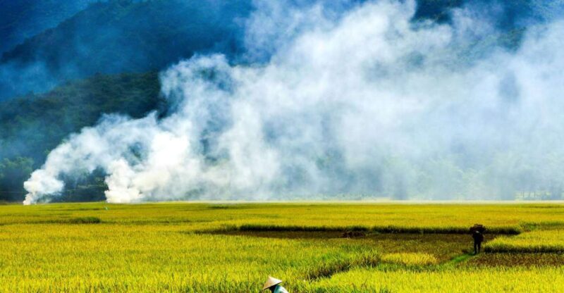 3D2N Mai Chau - Pu Luong for nature and culture lovers - Day One: Cycling Through Village Life