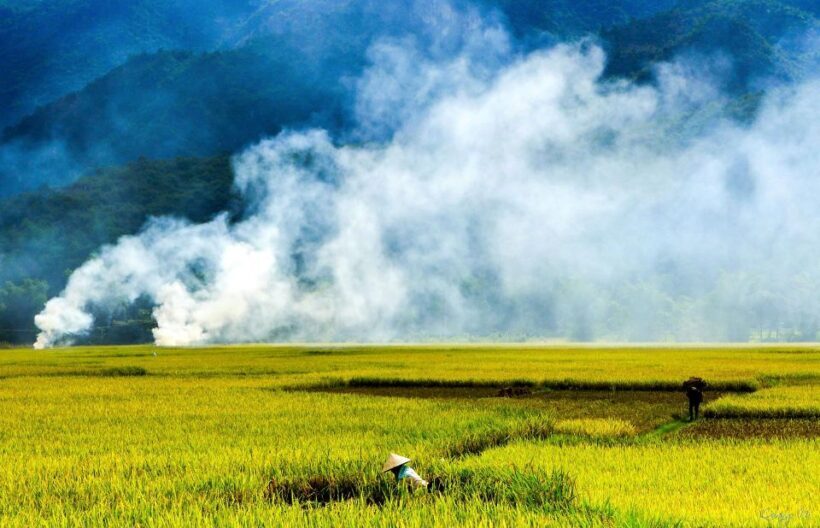 3D2N Mai Chau - Pu Luong from rice valley to nature reserve - Introduction