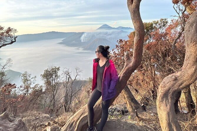 3D2N Mount Bromo Ijen Blue Fire with 4-Star Accommodation - FAQ