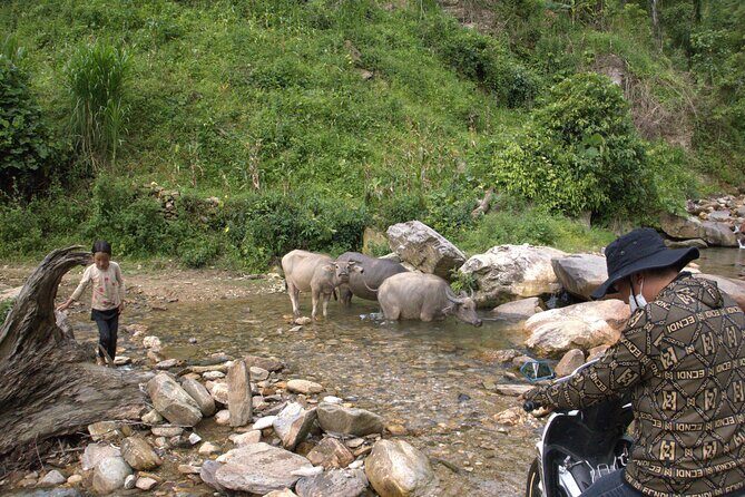 3D2N- Rice Terraces Treks & Easy rider from Sa Pa - Final Thoughts: Who Is This Tour For?