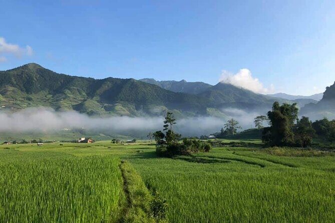 3D2N- Rice Terraces Treks & Easy rider from Sa Pa - Frequently Asked Questions