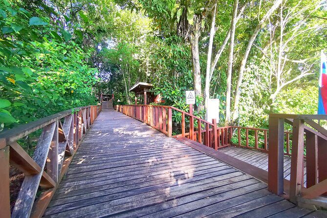 3D2N Sukau Wildlife Experience - An In-Depth Look at the 3D2N Sukau Wildlife Experience