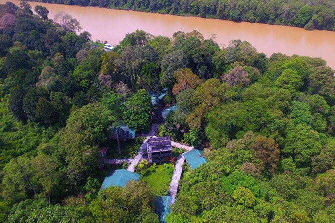 3D2N Sukau Wildlife Experience - Wildlife and Ethical Considerations