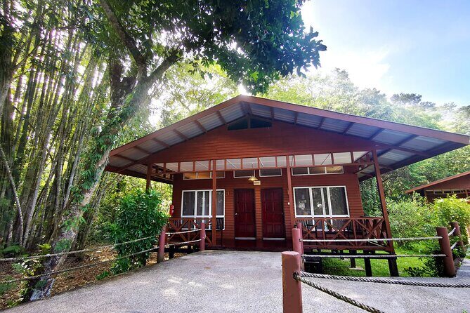 3D2N Sukau Wildlife Experience - Who Is This Tour Best For?