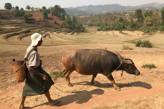 3Days Less Touristic Way Trekking from Kalaw To Inle - Why Travelers Love This Trek