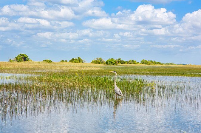 3h Boat Safari - Montreals Nature and Iconic Attractions Tour - The Sum Up: Is This the Right Tour for You?