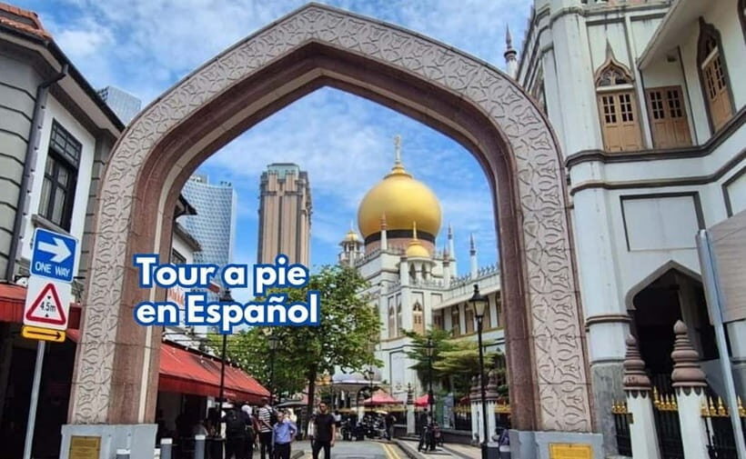 3h Chinatown, Little India,Arab Street SPANISH Walking Tour - Key Points