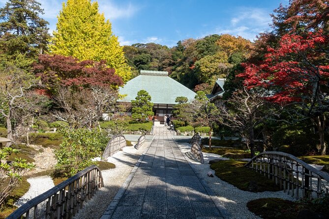 3h Private Tour With a Local Photographer - Health and Accessibility