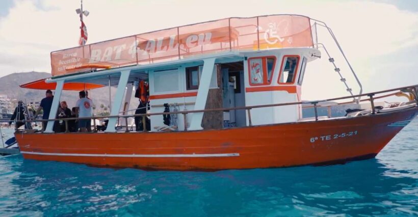 3H Shared Barrier-Free Cruise with Turtles Dolphins & Whales - Accessibility and Practicalities