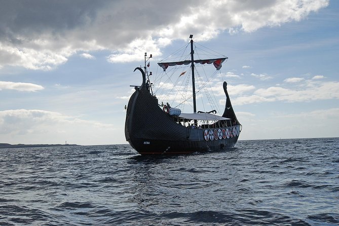 3h Viking Cruise with Drinks, Whales watching & Swimming Time - Food & Drinks: Good Value, Limited Options