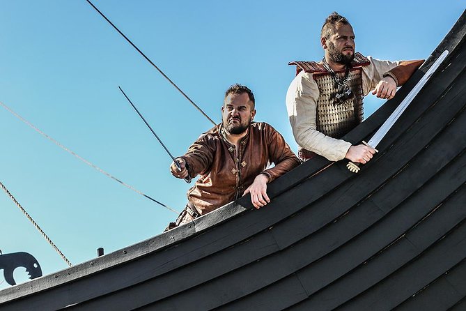 3h Viking Cruise with Drinks, Whales watching & Swimming Time - Considerations & Practical Tips