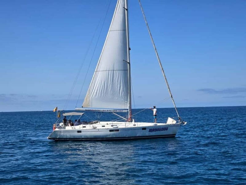 3h Whale Watching Private tour Beneteau Oceanis 440 - What Makes This Tour Special