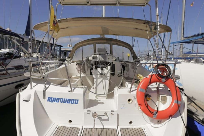 3h Whale Watching Private tour Beneteau Oceanis 440 - Authentic Reviews and Real Experiences