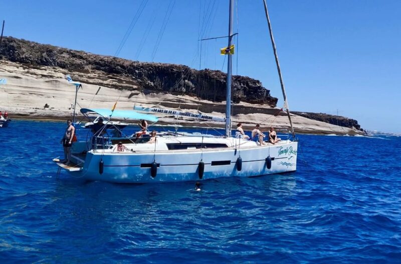 3h Whale Watching Private Tour Costa Adeje Lina7 Mizendoha - Cost and Value