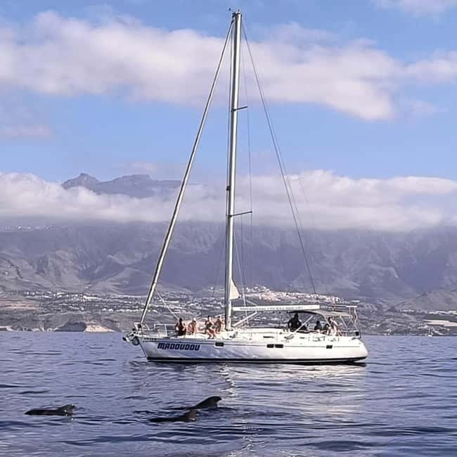 3h Whale Watching Share Tour Beneteau Oceanis 440 - Final Thoughts: Is It Worth It?