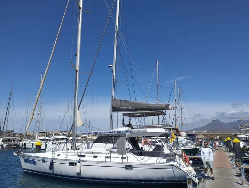 3h Whale Watching Share Tour Beneteau Oceanis 440 - FAQs