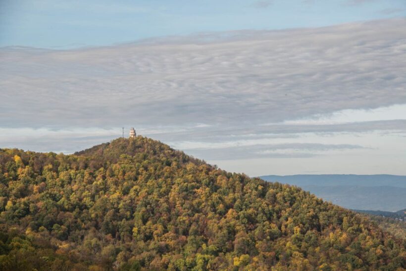 3Hour Outdoor Budapest Normafa Hike&History With a Historian - Exploring Budapest’s Buda Hills: A 3-Hour Outdoor Hike with a Historian