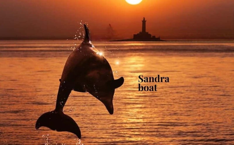 3hours Dolphin Sunset watching with unlimited drinks +dinner - Value and Practicality