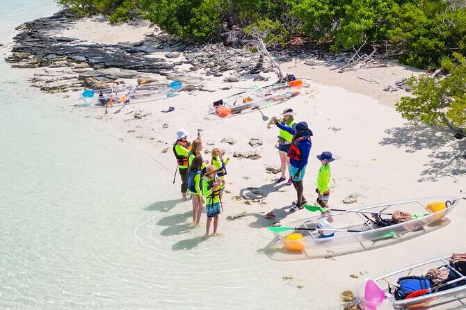 3HR Clear Kayak Mangrove and iguana island Tour in Leeward - Key Points