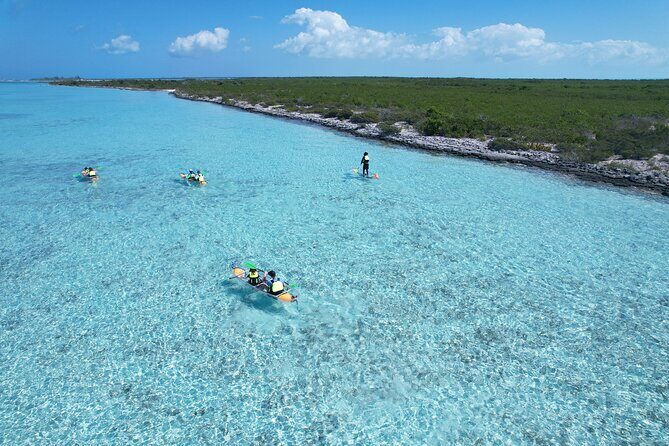 3hr Clear Kayak Tour of Mangroves, Marine Life and Iguanas - The Value of Your Investment