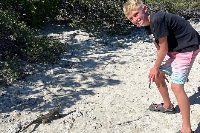3hr Clear Kayak Tour of Mangroves, Marine Life and Iguanas - The Overall Experience