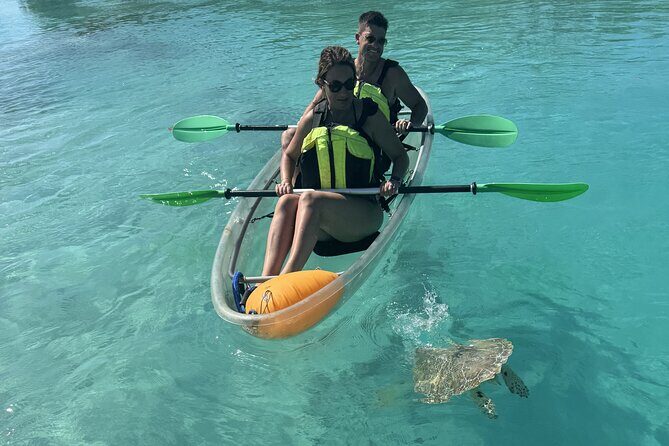 3hr Clear Kayak Tour of Mangroves, Marine Life and Iguanas - Who Will Love This Tour?