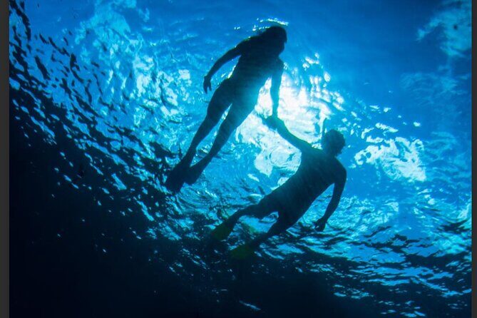 3HR Emerald reef snorkeling, iguana island and shipwreck tour - An Honest Look at the Experience