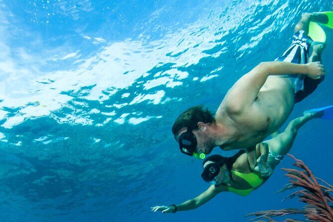 3HR Emerald reef snorkeling, iguana island and shipwreck tour - FAQ