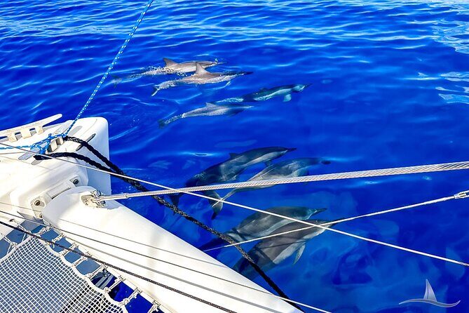 3hr Luxury Private Sailing Catamaran in Waikiki for 1 to 6 People - The Itinerary: What Makes Each Stop Special