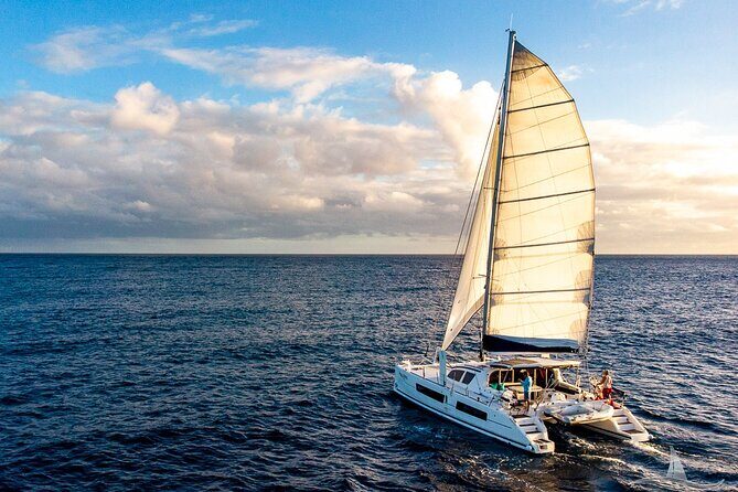 3hr Luxury Private Sailing Catamaran in Waikiki for 1 to 6 People - Authentic Experiences and Customer Feedback