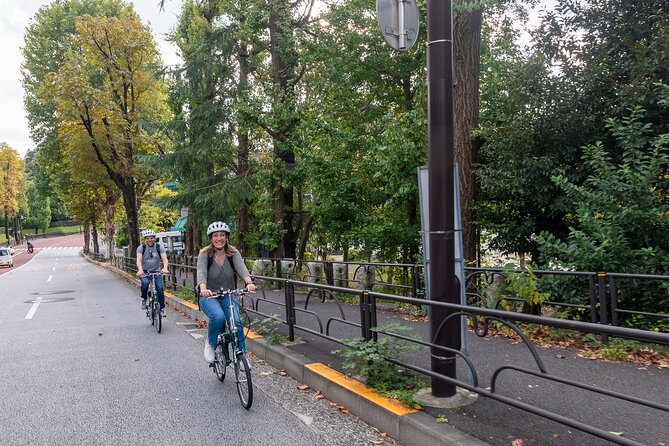 3hr Private E-Bike Cycling Tour in Tokyo, Starting at Your Hotel - Guide Expertise and Professionalism