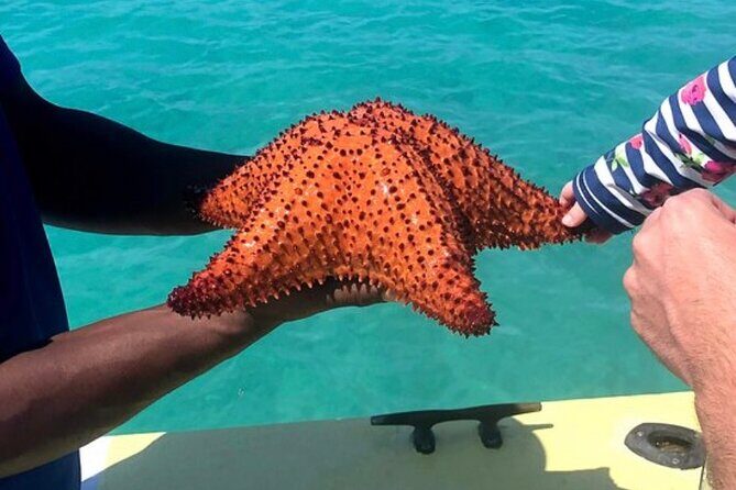 3hr Seaside Scavenger hunt - Final Thoughts