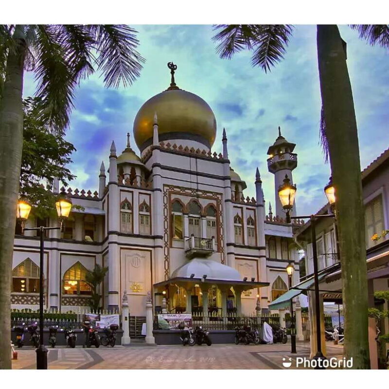 3hrs Singapore Walking Tour: Chinatown-Kampong Glam - Who Would Enjoy This Tour?