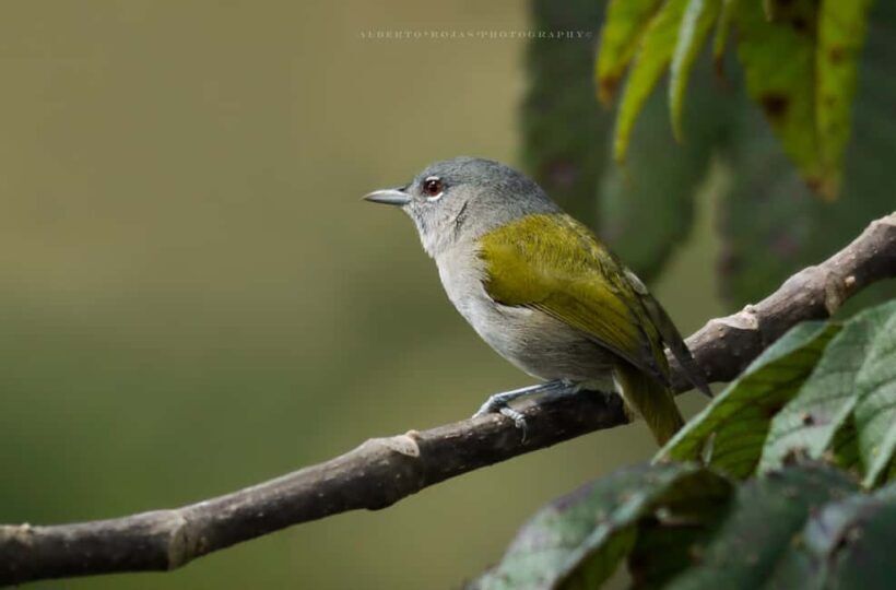 3in1: Los Haitises N. Park + Waterfalls + Montaña Redonda - Practical Considerations