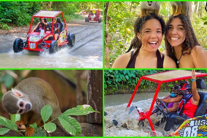 3X1 Adventure Waterfalls, Monkeys & Buggies In Puerto Plata - The Sum Up