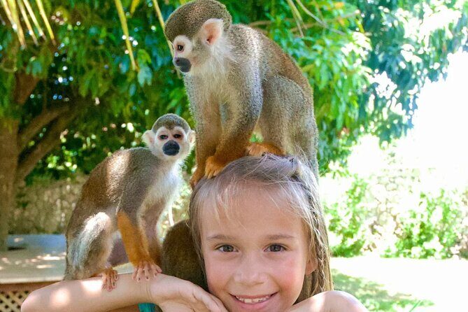 3x1: Monkeyland Waterfalls and Buggy Tour Puerto Plata - Practical Details and Value