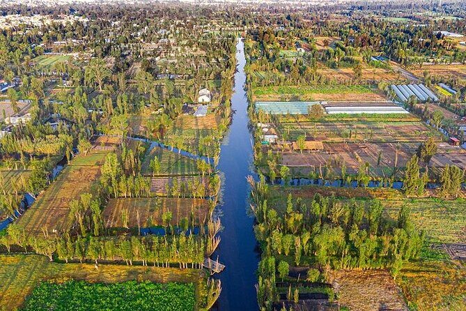 3X1 Tour in Xochimilco UNAM and Coyoacan - FAQ