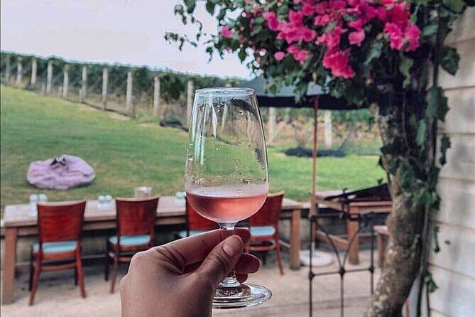 4.5-Hour Scenic Wine Tour with Private Guide & Up to 12 Tastings - Who Will Appreciate This Tour?