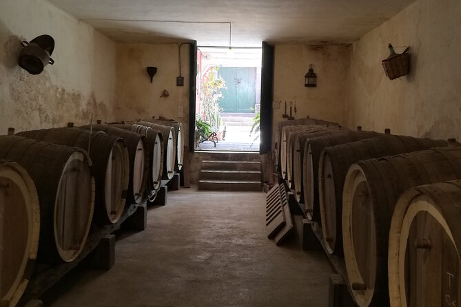 4.5 hours Private tour, the best and highlights of Gran Canaria. - Why This Tour Works Well